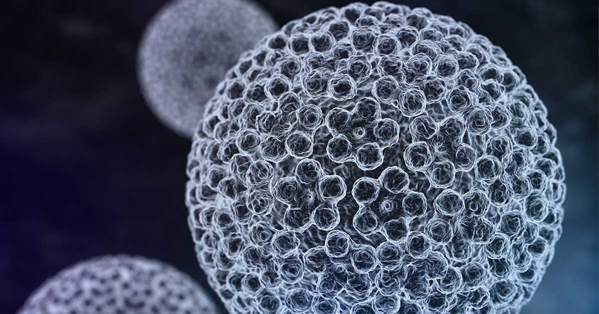 Οξυτενή κονδυλώματα - Γεώργιος Κόκκαλης | Δερματολόγος - Αφροδισιολόγος